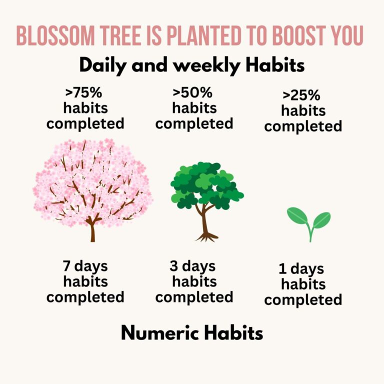 30 Organization Habits of Highly Organized People - For Busy Bee's