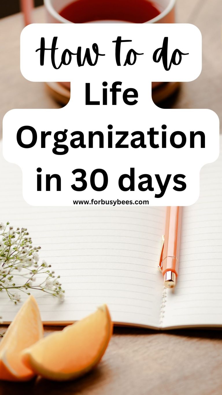 30 Day Lifestyle Challenge for Life Organization - For Busy Bee's